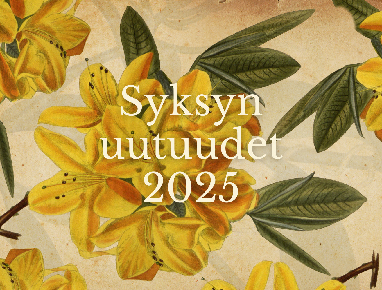 Syksyn 2025 uutuudet | SKS verkkokauppa